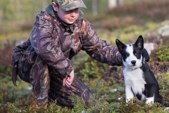 Metsästyskoirat | Suomen Kennelliitto